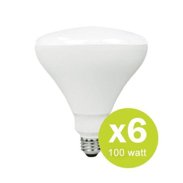 Focus On Energy Marketplace | TCP Floodlight BR40 Dimmable 100W ...